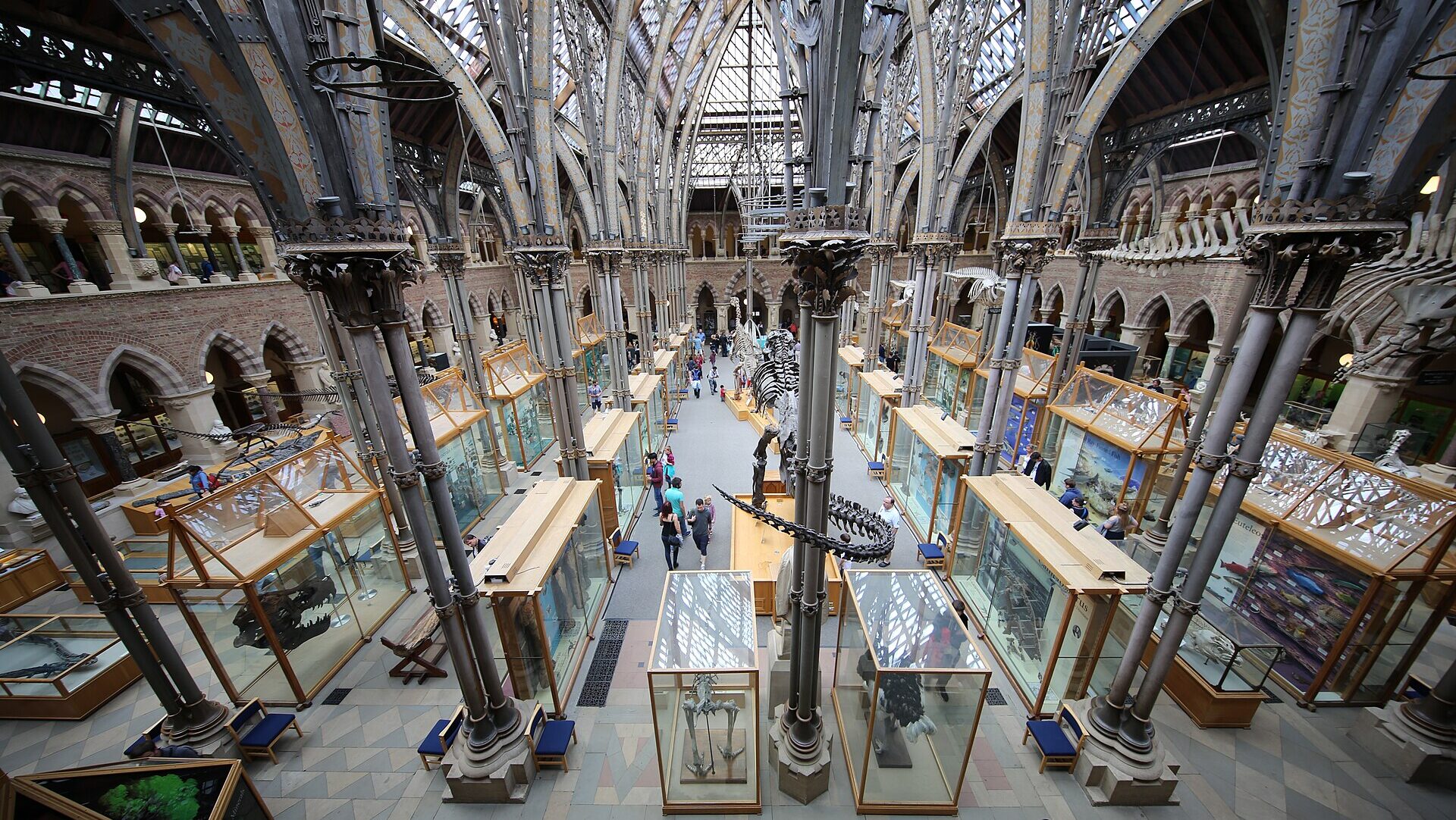 Oxford research changes scientists’ understanding of the development of ...
